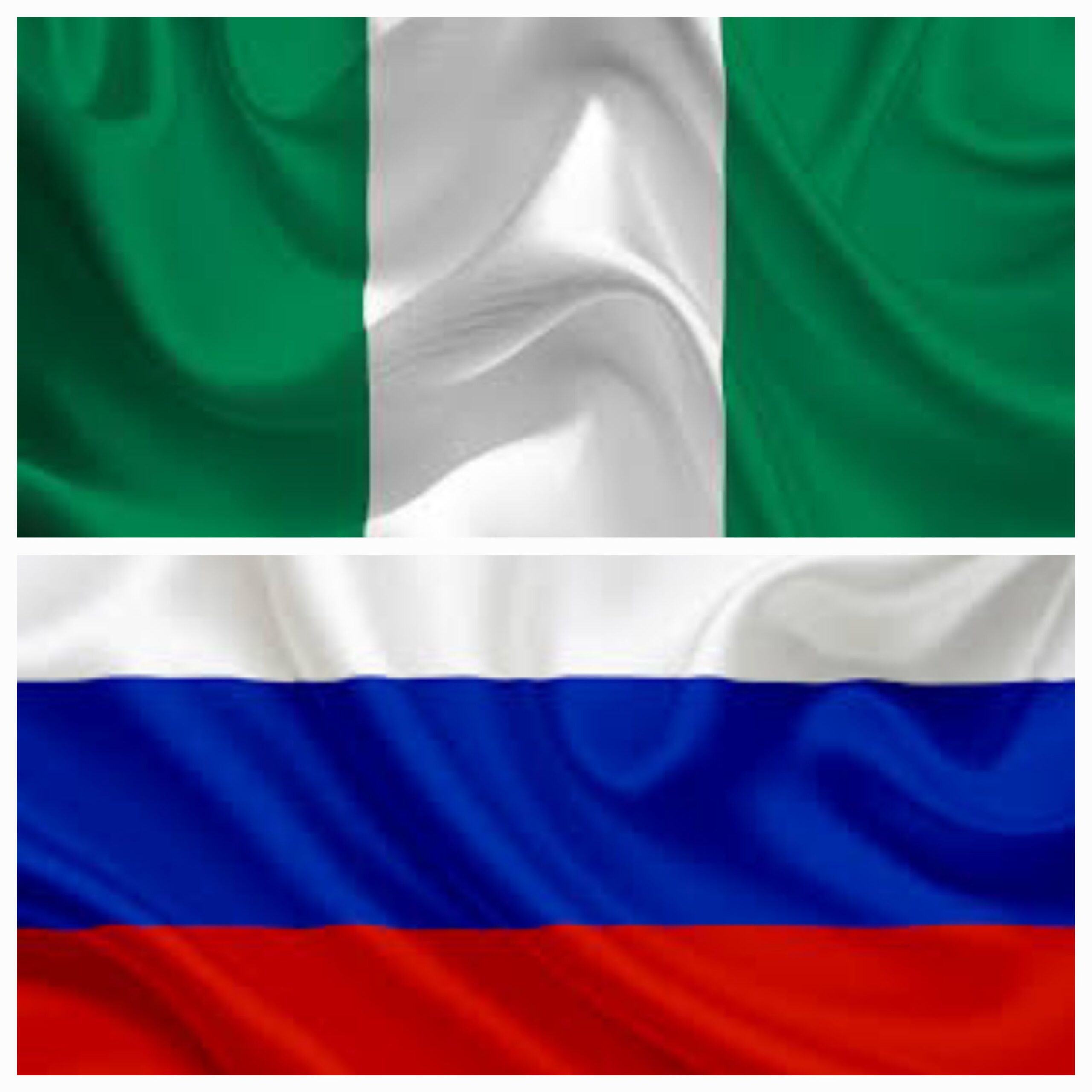 On the Flying of a Flag… Who Can Commit Treason? - Time Nigeria Magazine